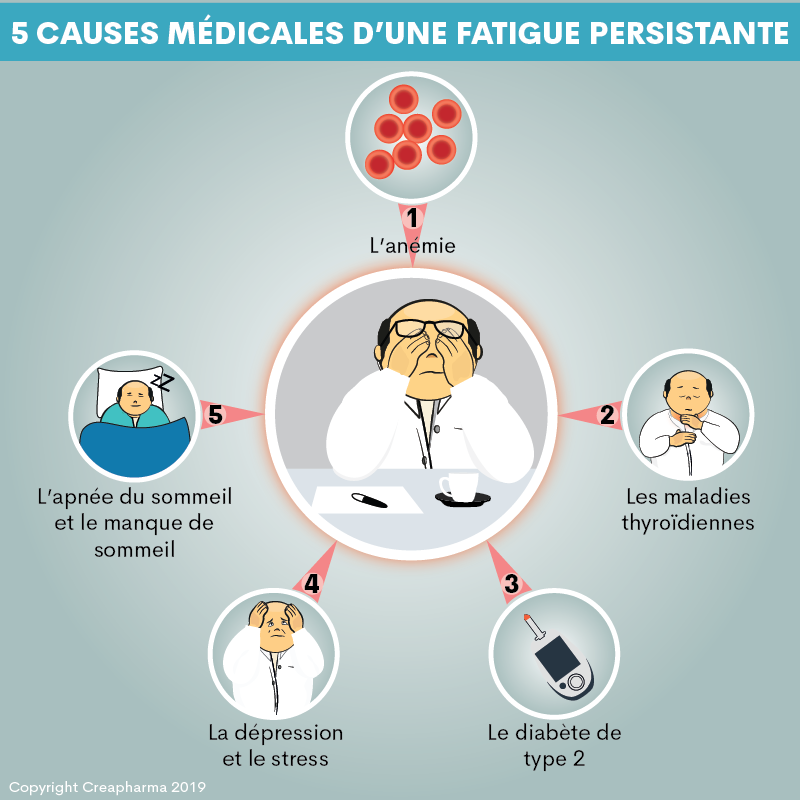 5 causes médicales d’une fatigue persistante | Creapharma